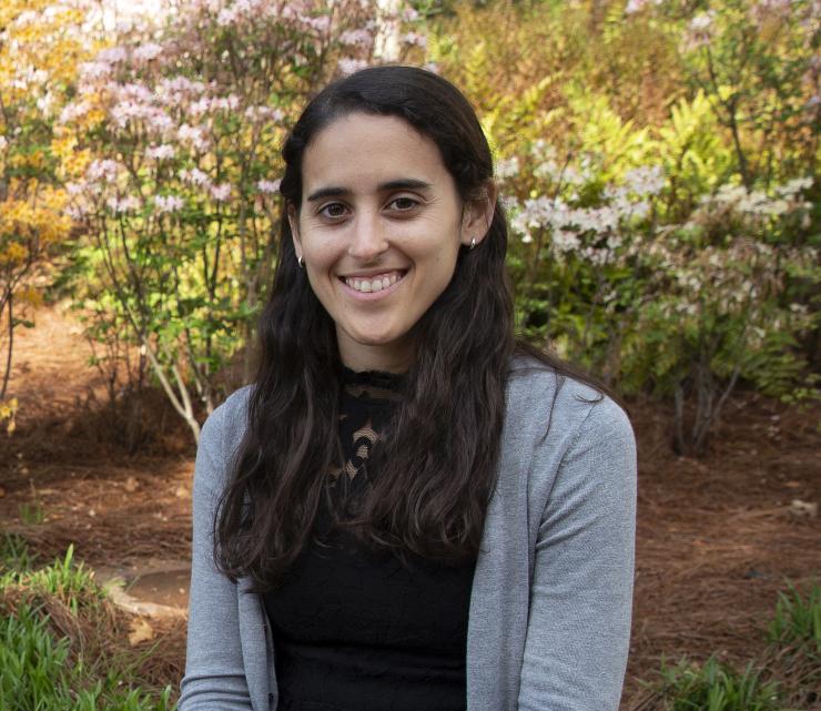 Nature-inspired Strong, Lightweight Material for Planes, Buildings, and ...